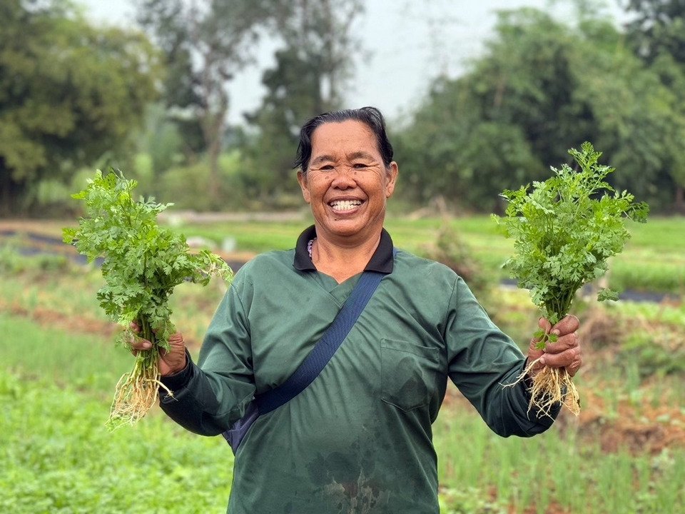 โก โฮลเซลล์ ประกาศเจตนารมณ์ "Wholesale for All" เดินหน้า ESG-CRC Care ดันค้าส่งอาหารไทยสู่ความ ...