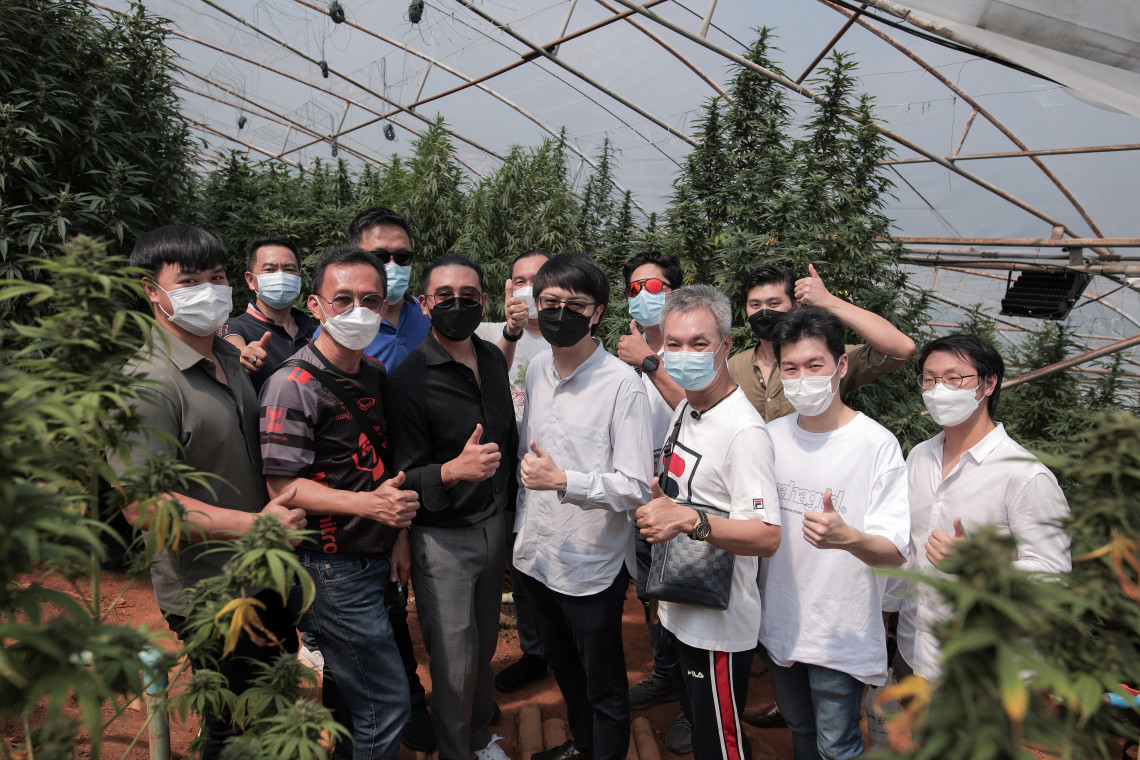 "ALPHAX" ต้อนรับสื่อมวลชนเยี่ยมไร่กัญชง (MJB Farm) ต.โป่งแยง อ.แม่ริม ...