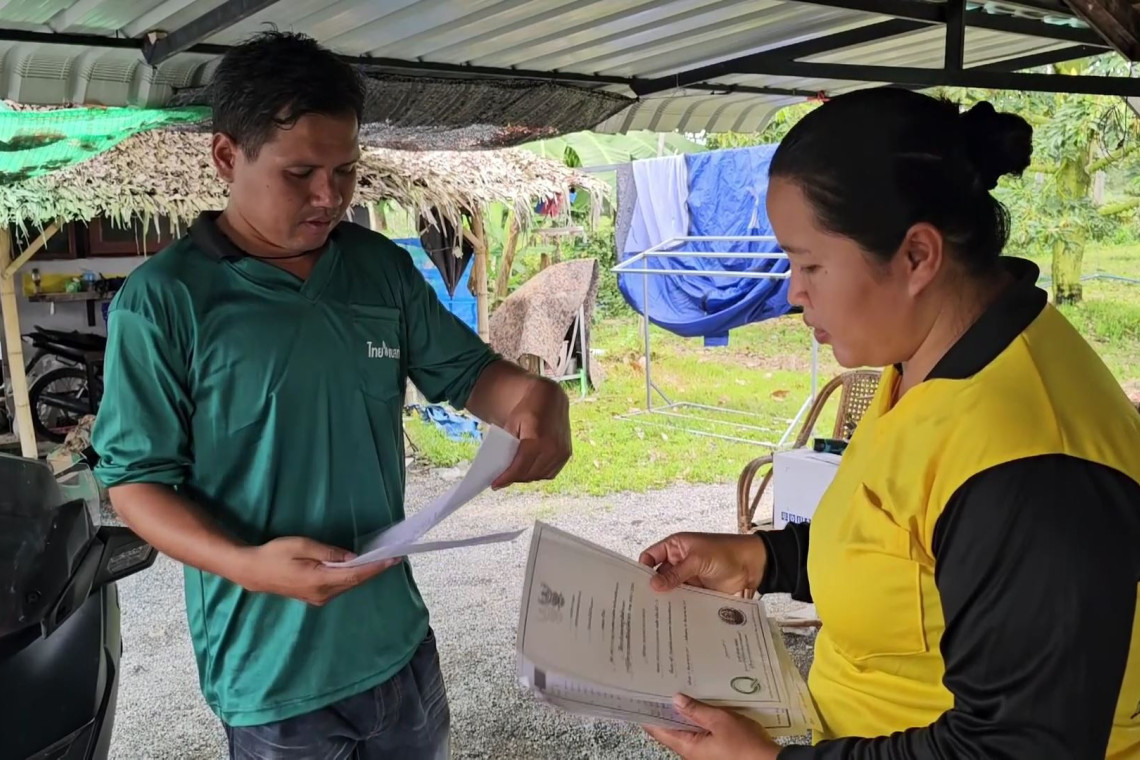 แก๊งสวม GAP ทำแสบชาวสวนทุเรียนเดือดร้อนหลังจีนระงับ GAP 2 แปลงใน ...