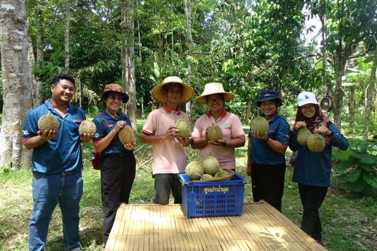 จุดเช็คอินใหม่!! อดีตไกด์ เปิด "สวนวาสนาดี" ศูนย์รวมทุเรียน 100 สาย ...