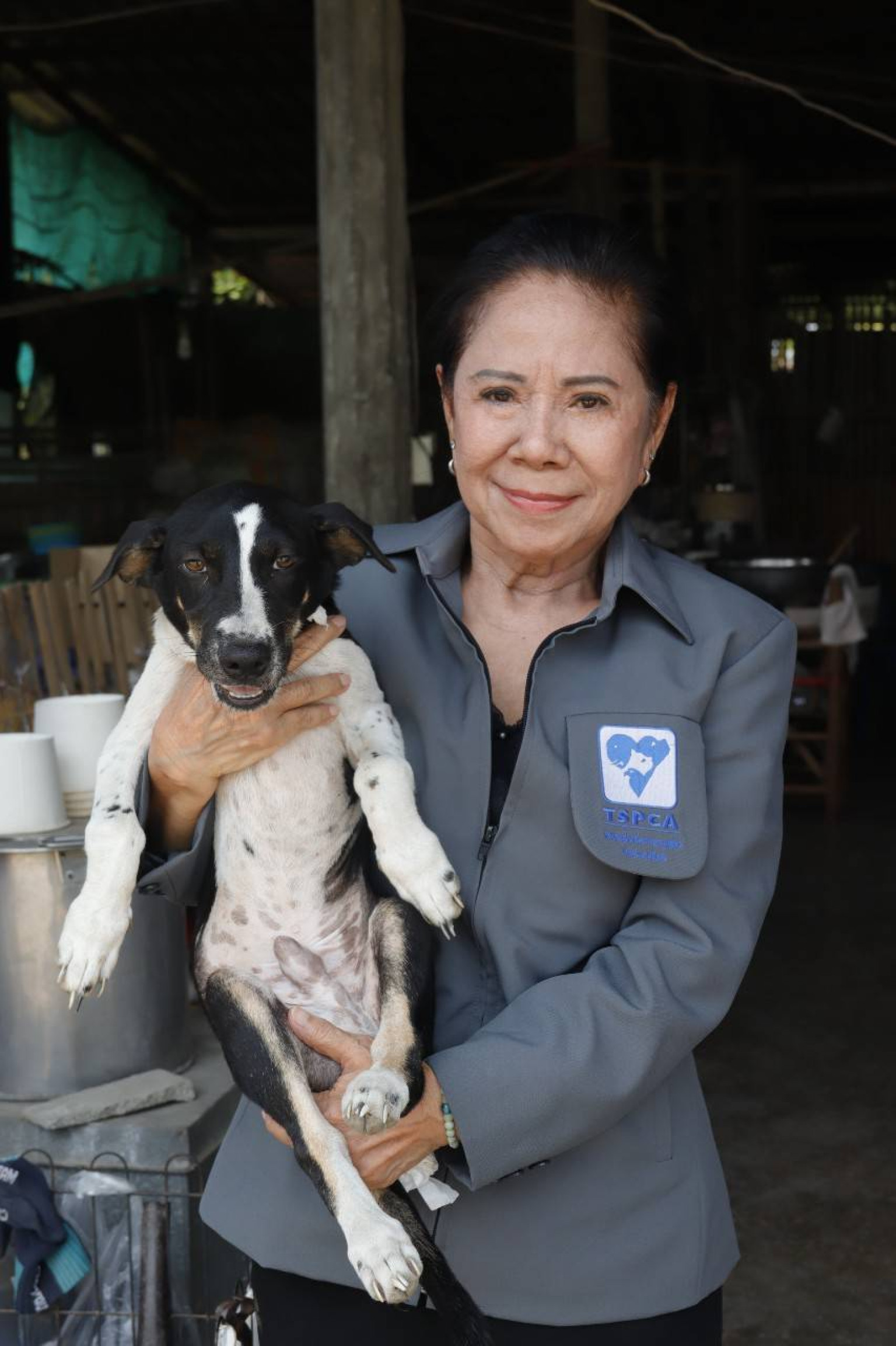 อุปนายก TSPCA พร้อมคณะ ลงพื้นที่ช่วยเหลือสัตว์ - สยามรัฐ