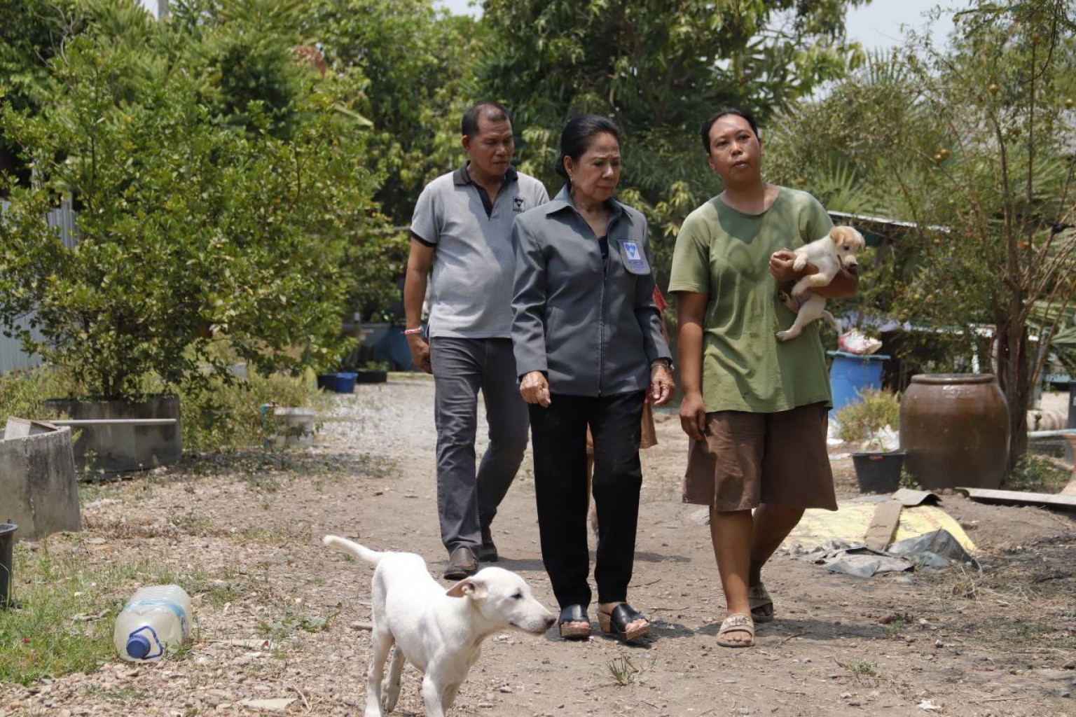 อุปนายก TSPCA พร้อมคณะ ลงพื้นที่ช่วยเหลือสัตว์ - สยามรัฐ