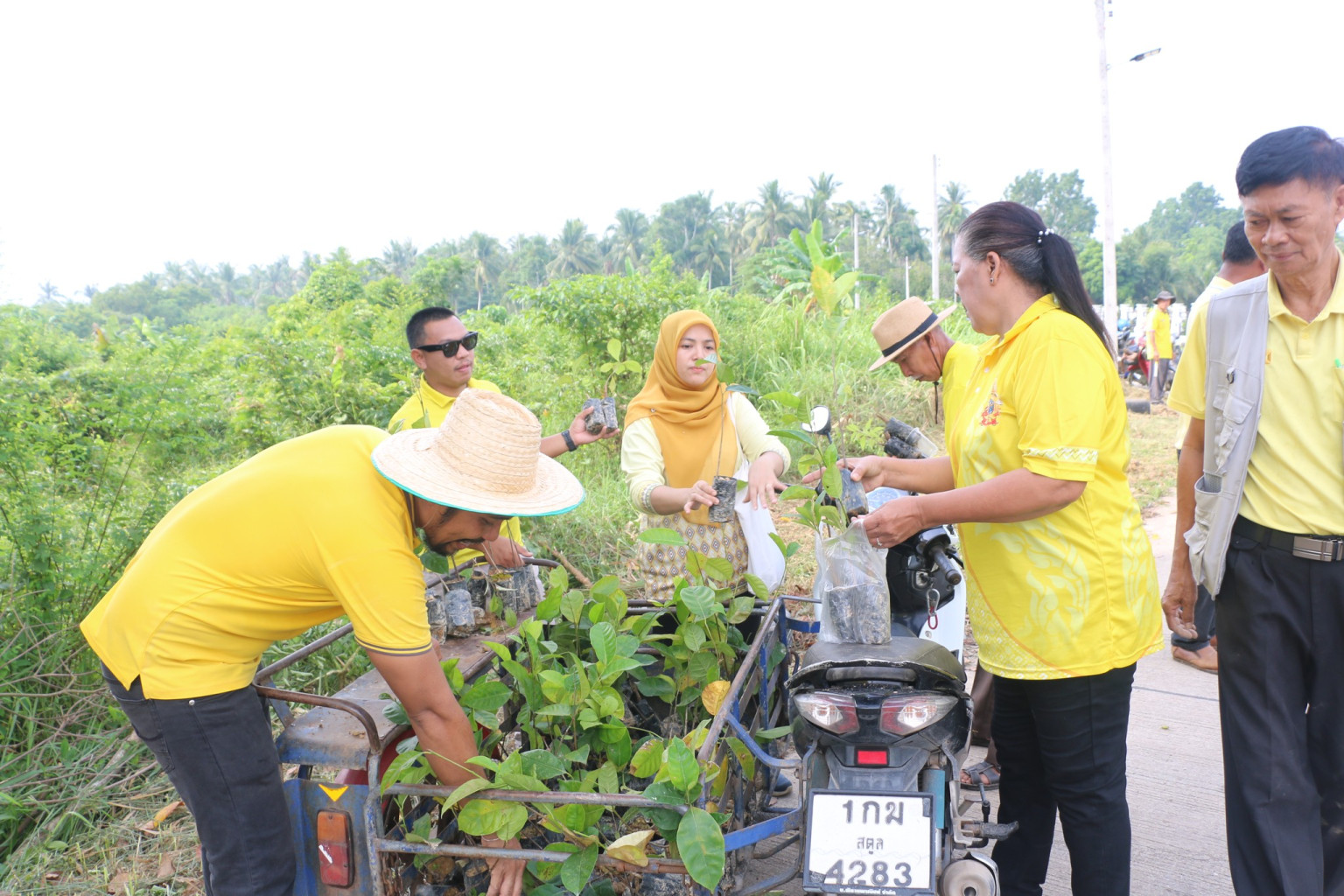 ทต.คลองขุดและชุมชนหมู่ 7 ปลูกต้นไม้ในพื้นที่สาธารณะ เนื่องในโอกาสมหามงคลเฉลิมพระชนม์พรรษา 6 รอบ ...